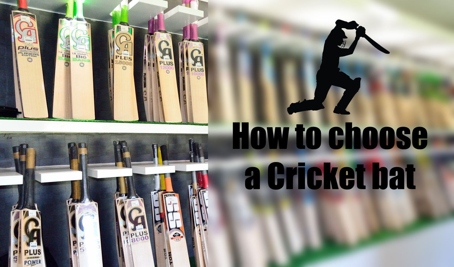 "Unleashing Your Cricket Potential: The Ultimate Guide to Choosing the ...