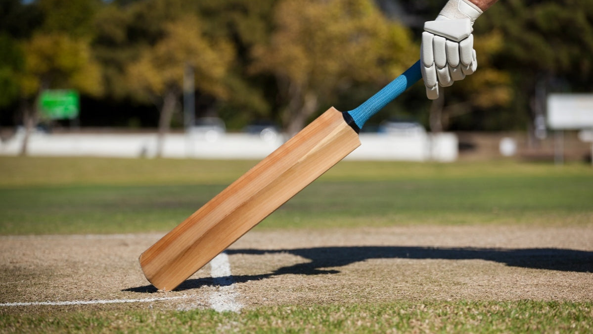 What Should You Look For When Buying a Cricket Bat? – KHELSPACE